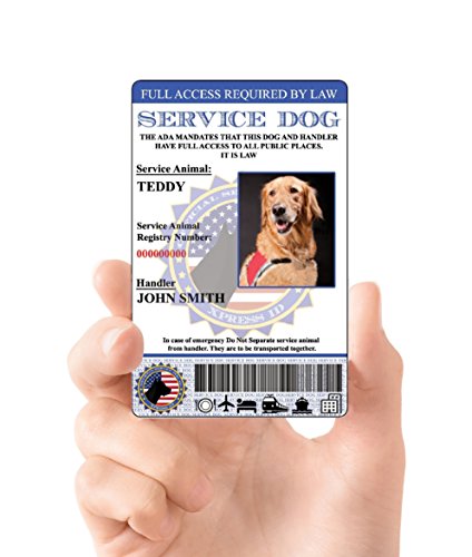 Xpress ID Holographic Service Customized Dog ID Card, Includes ...